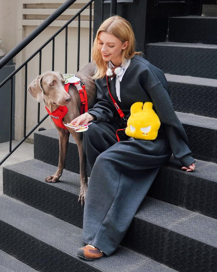 KRBOBO Twinning Walk Kit – Complete Dog Walking Set for Owners & Pets